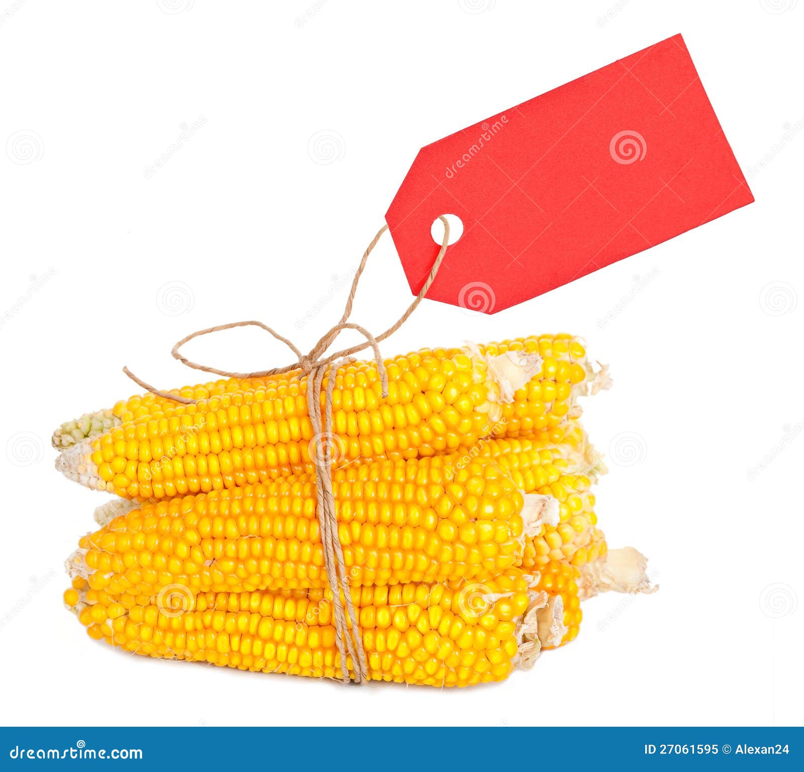 An ear of corn with a tag stock image. Image of fresh - 27061595