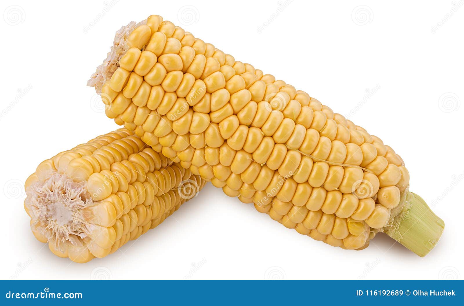 Ear of Corn. Two Fresh Corncob, Cut in Half Stock Image - Image of ripe ...