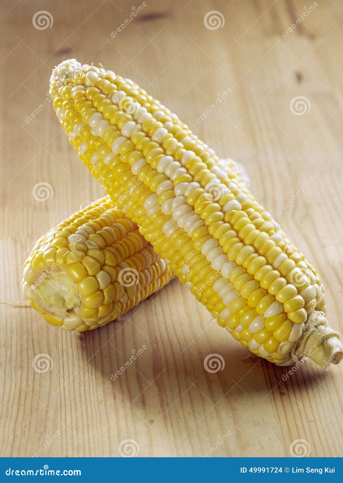 Ear of corn stock photo. Image of golden, sweetcorn, leaf - 49991724