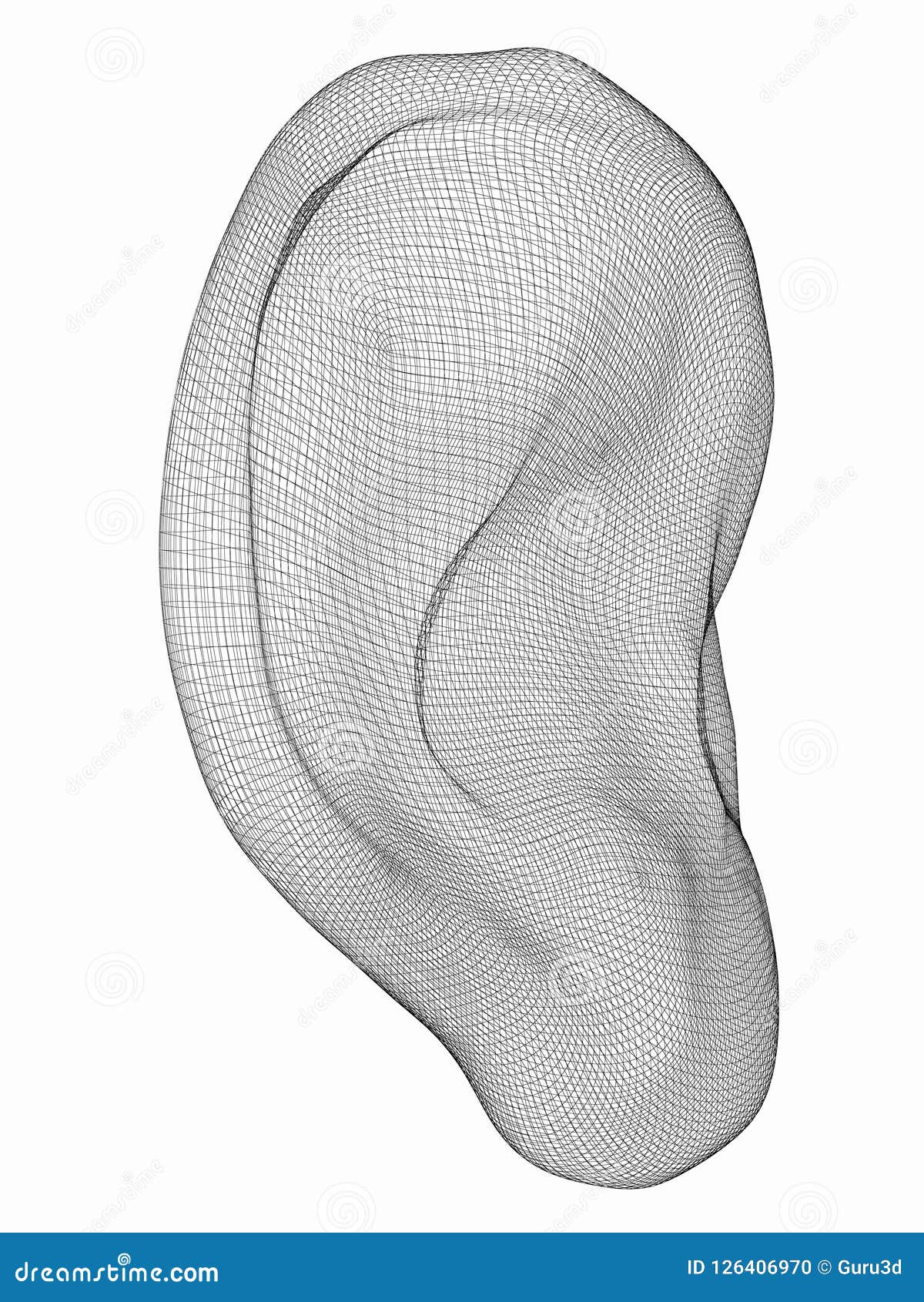 Ear digital model stock illustration. Illustration of biology - 126406970
