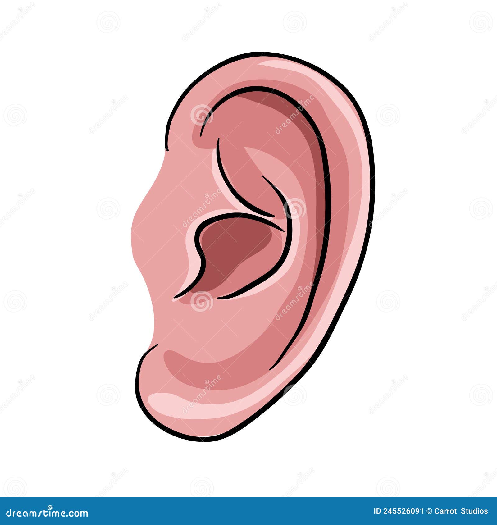 Ear drawing vector stock vector. Illustration of body - 245526091