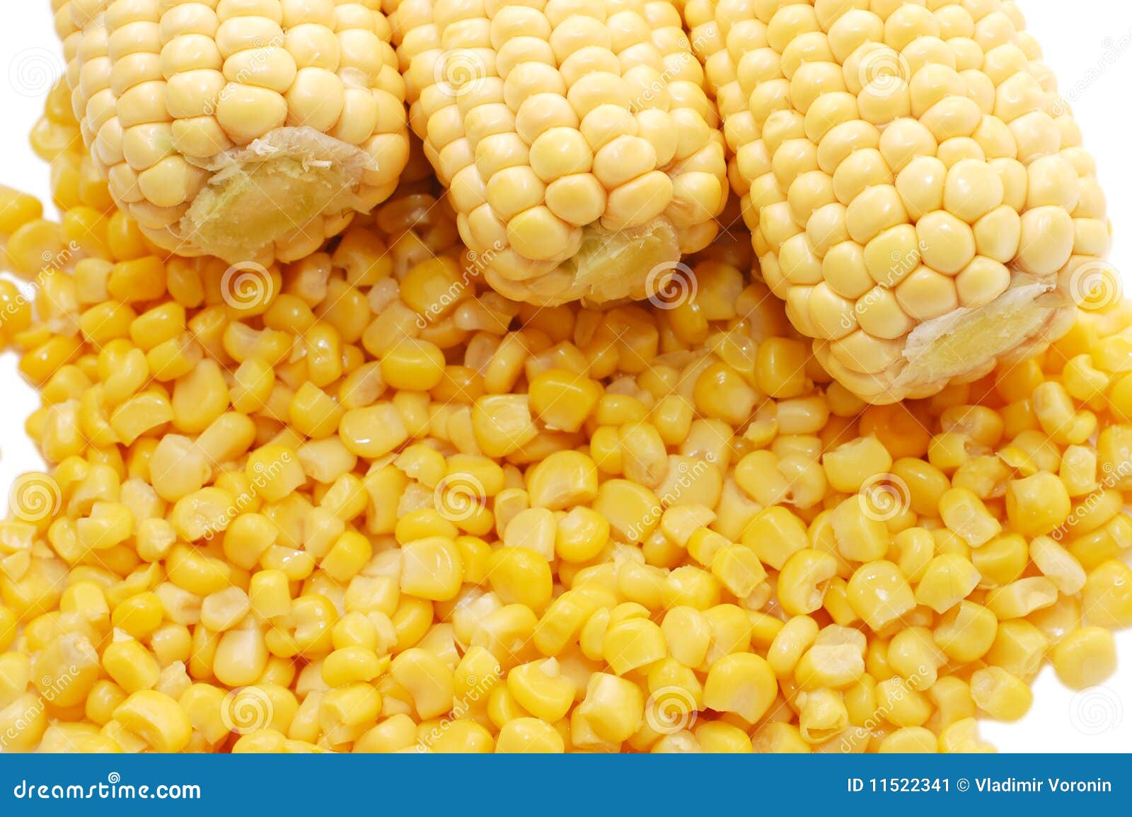 Ear of Fresh Corn and Tinned Corn Stock Image - Image of fresh, eating ...