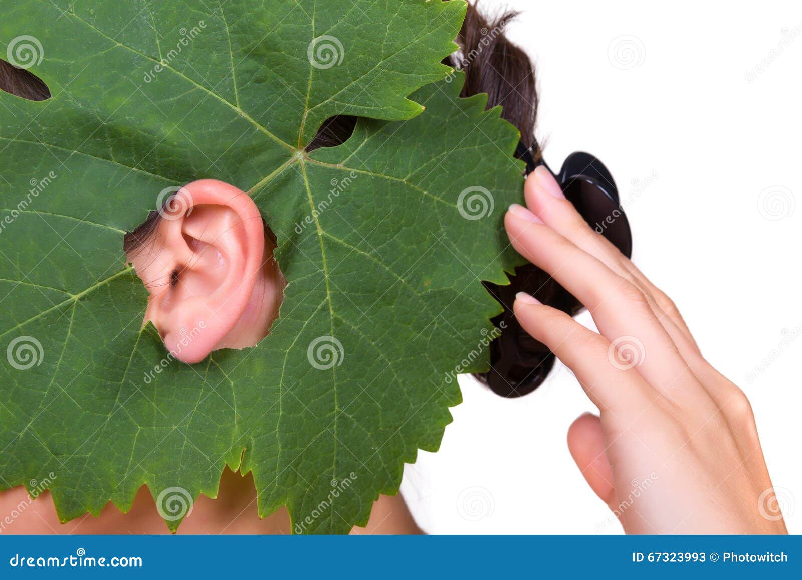 Ear in green leaf stock image. Image of closeup, human - 67323993
