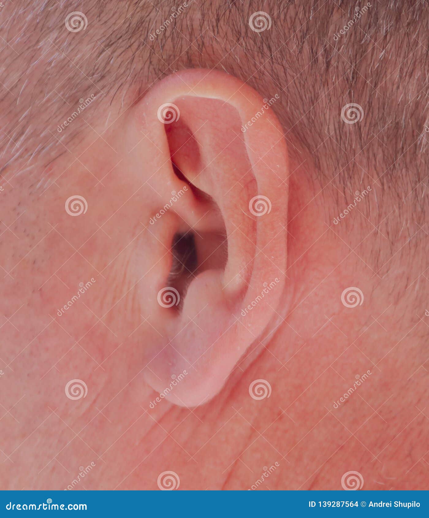 Ear on the head of a man stock photo. Image of beauty - 139287564