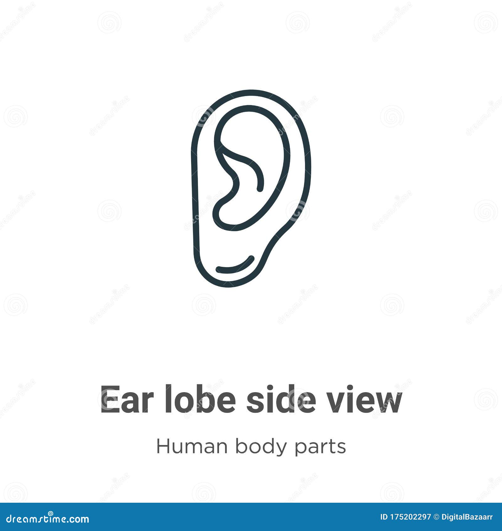 Outline Ear Lobe Side View Vector Icon. Isolated Black Simple Line ...