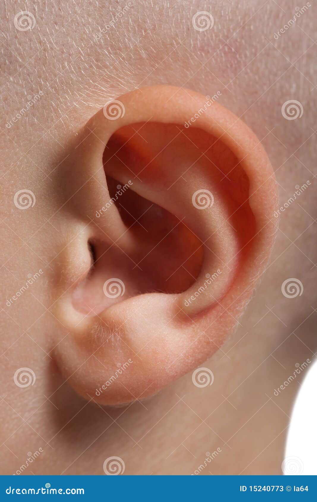 Ear macro stock image. Image of head, black, person, expression - 15240773