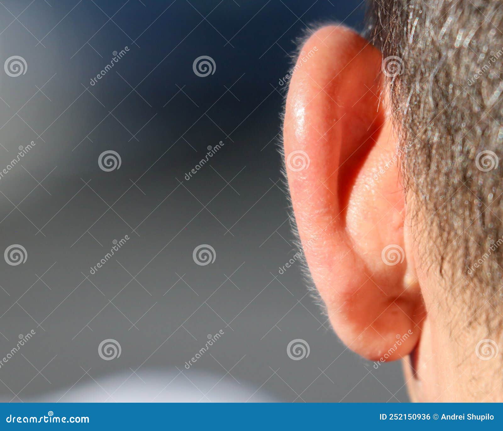 The ear of a man. stock photo. Image of medicine, exam - 252150936