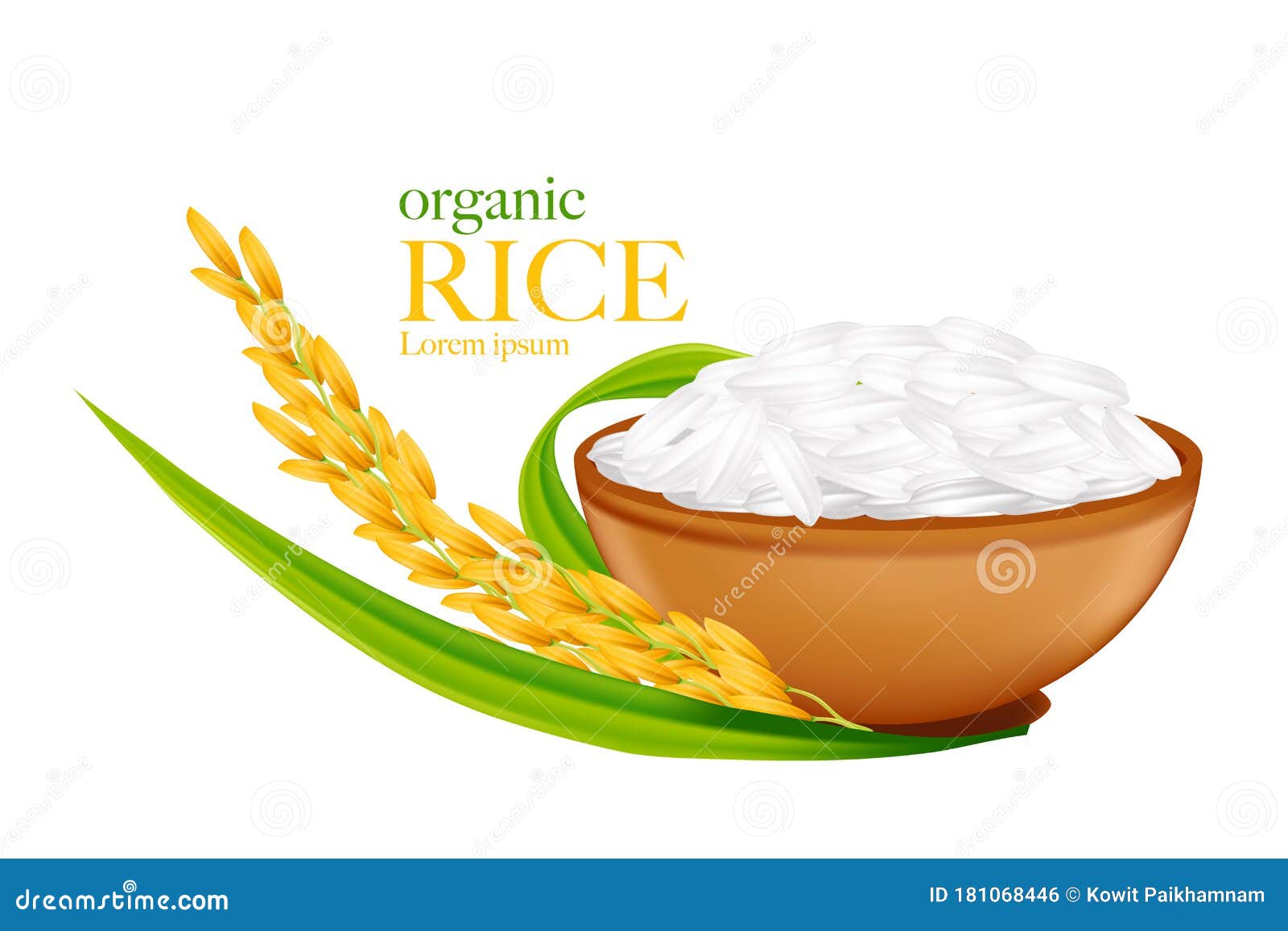 Thai Jasmine Rice Emblems. Elegant Badges With Rice Panicle, Paddy ...