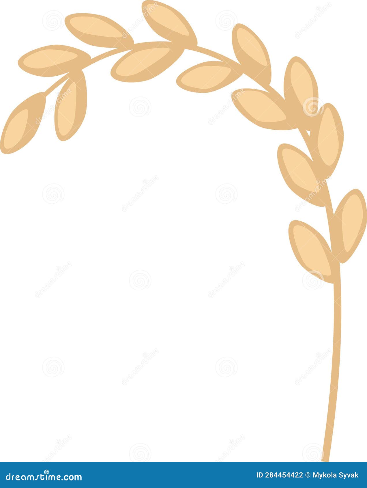 Ear of Rice stock vector. Illustration of ripe, isolated - 284454422