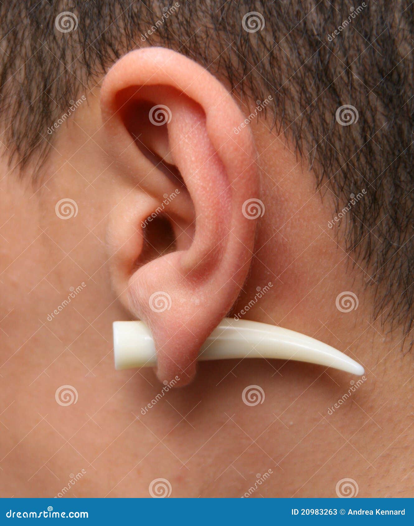 Ear Ring Tusk stock image. Image of hair, skin, hearing - 20983263