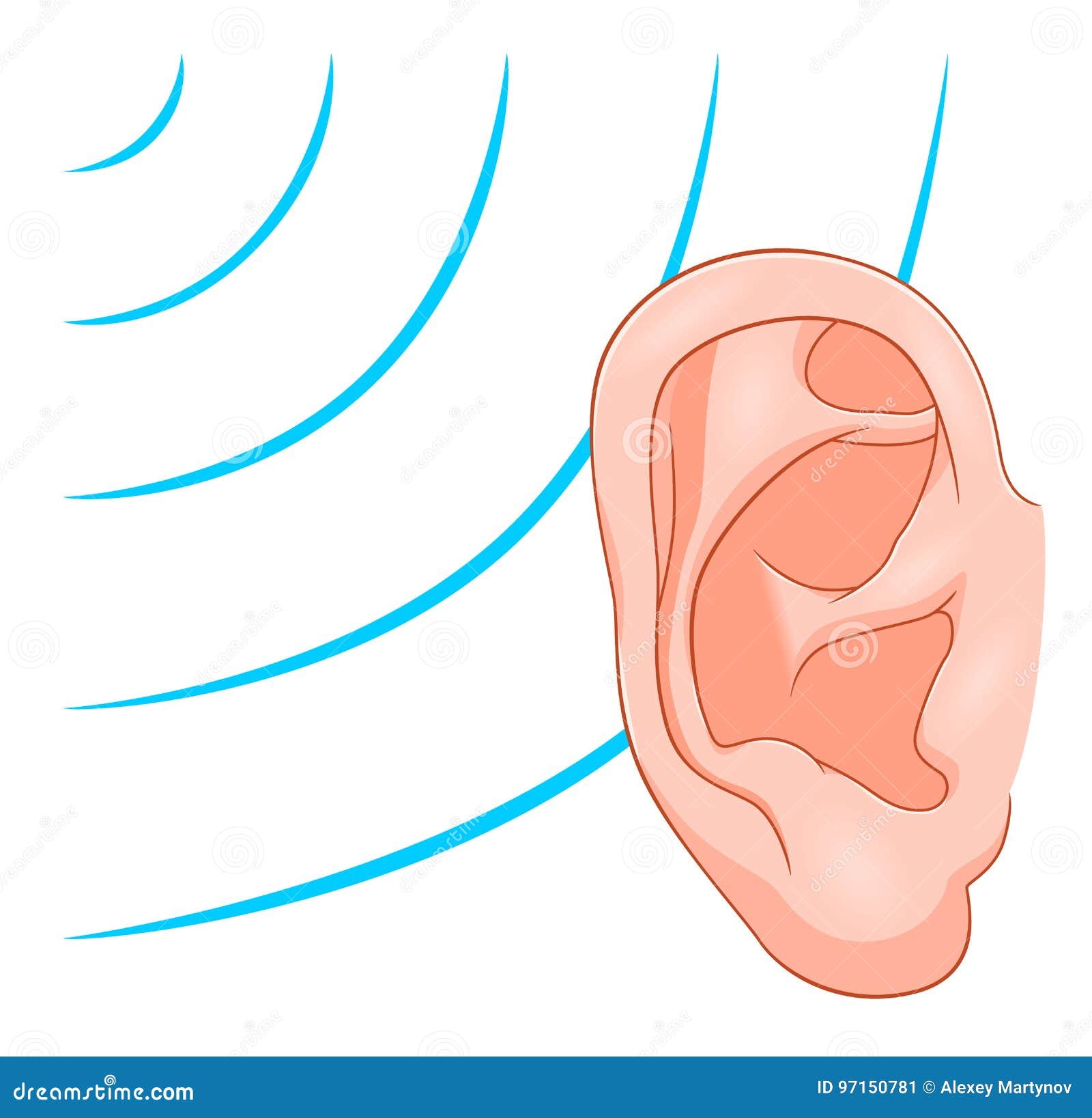 Ear Sound Waves Clipart
