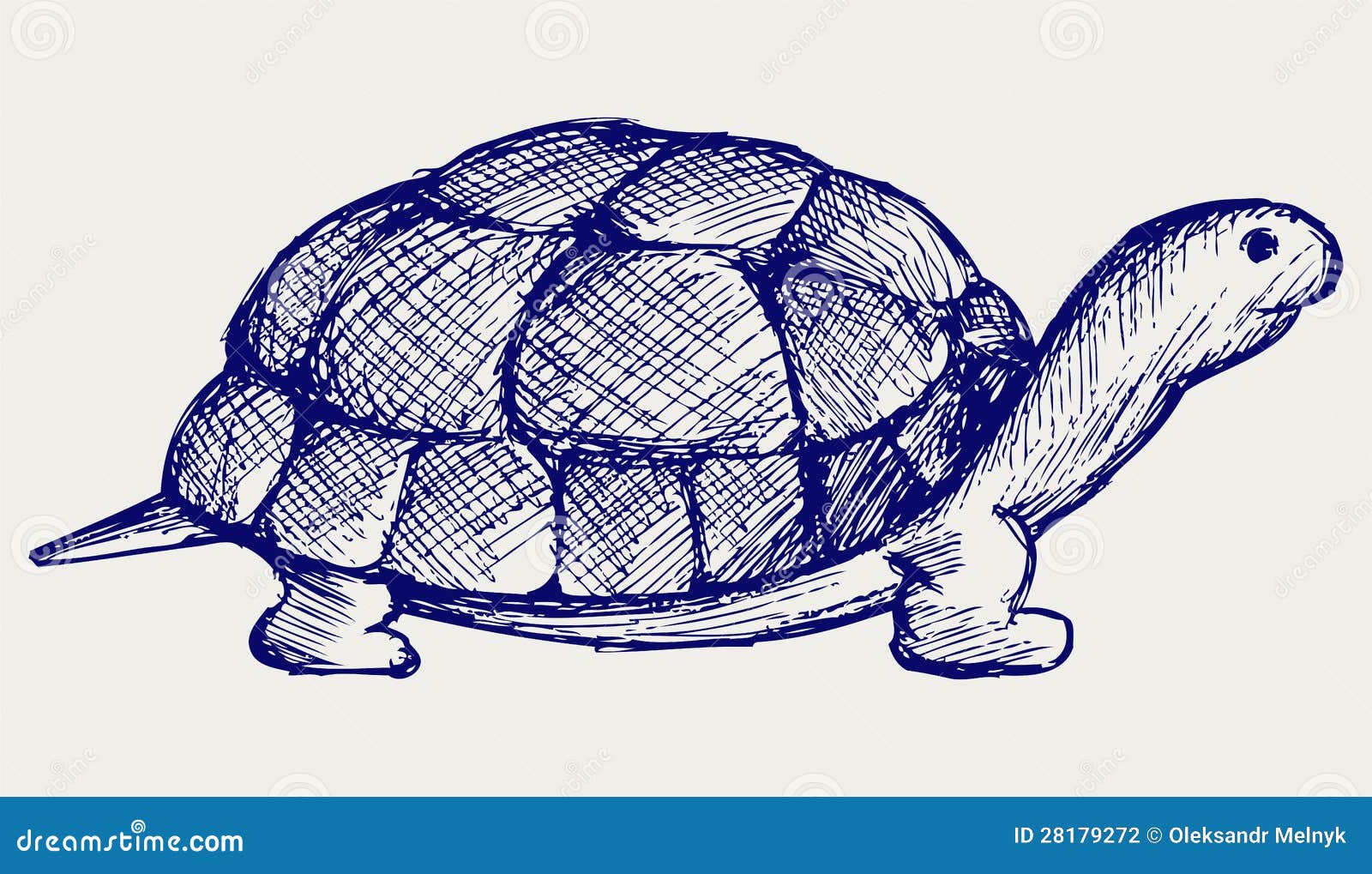 Trachemys Scripta Elegans Red-eared Slider, Red-eared Terrapin, Water ...