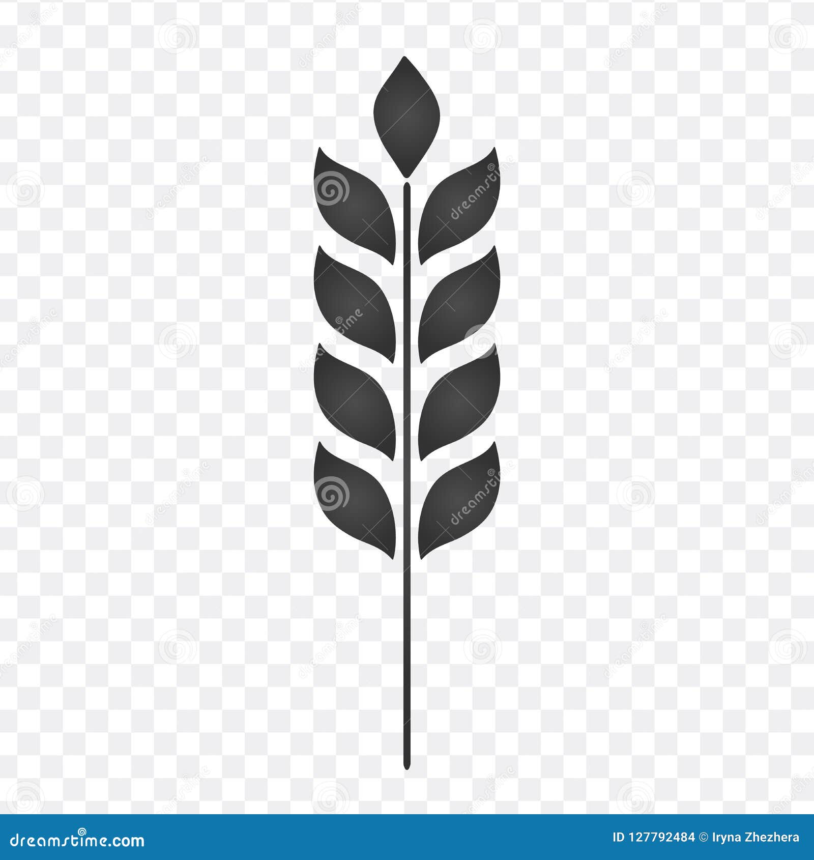 Ear of Wheat, Barley or Rye Visual Graphic Icon, I Stock Illustration ...
