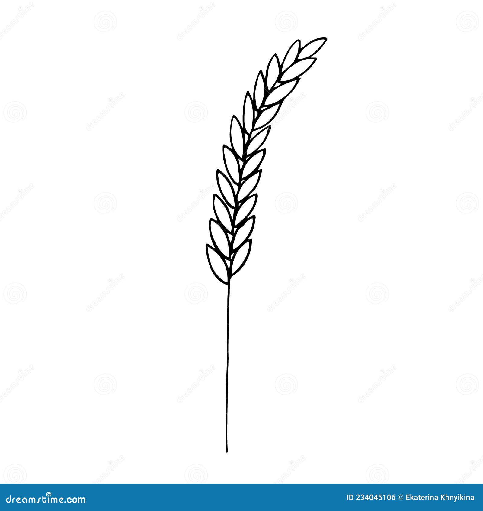 Ear of Wheat Plant Vector Illustration, Hand Drawing Doodle Stock ...