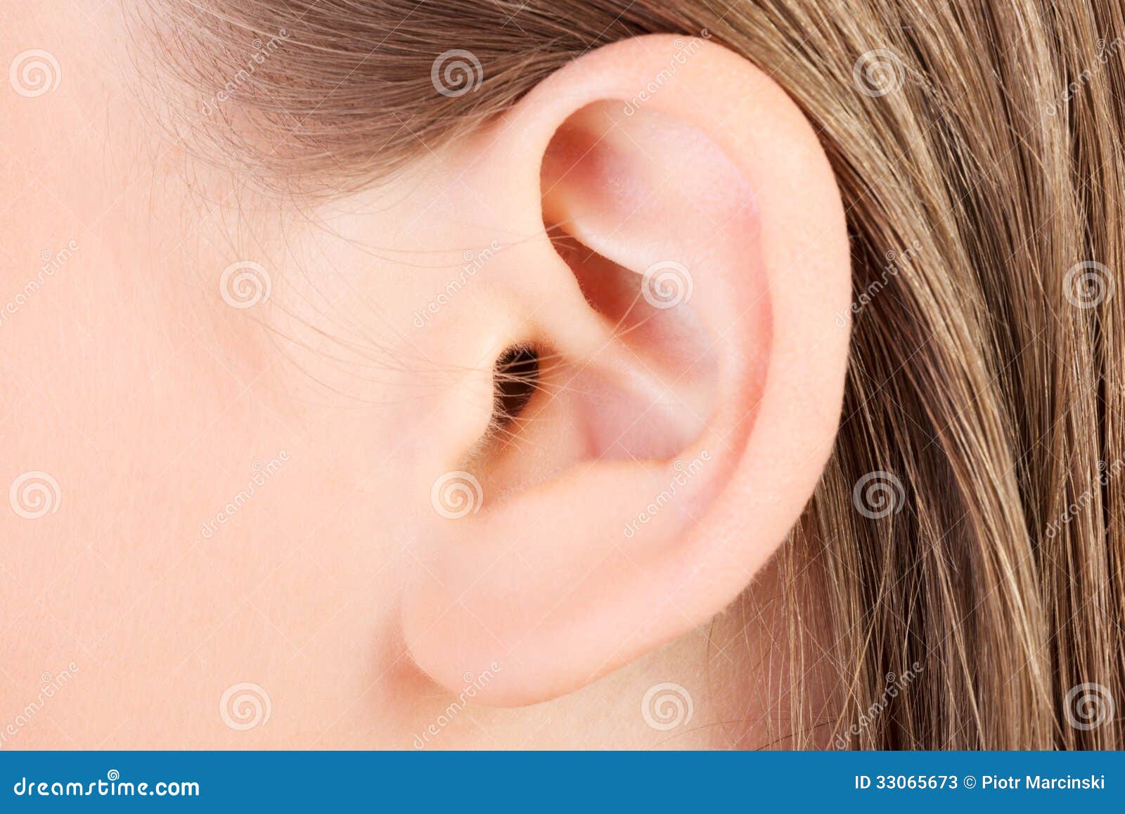 Ear stock image. Image of helix, hear, perception, pretty - 33065673