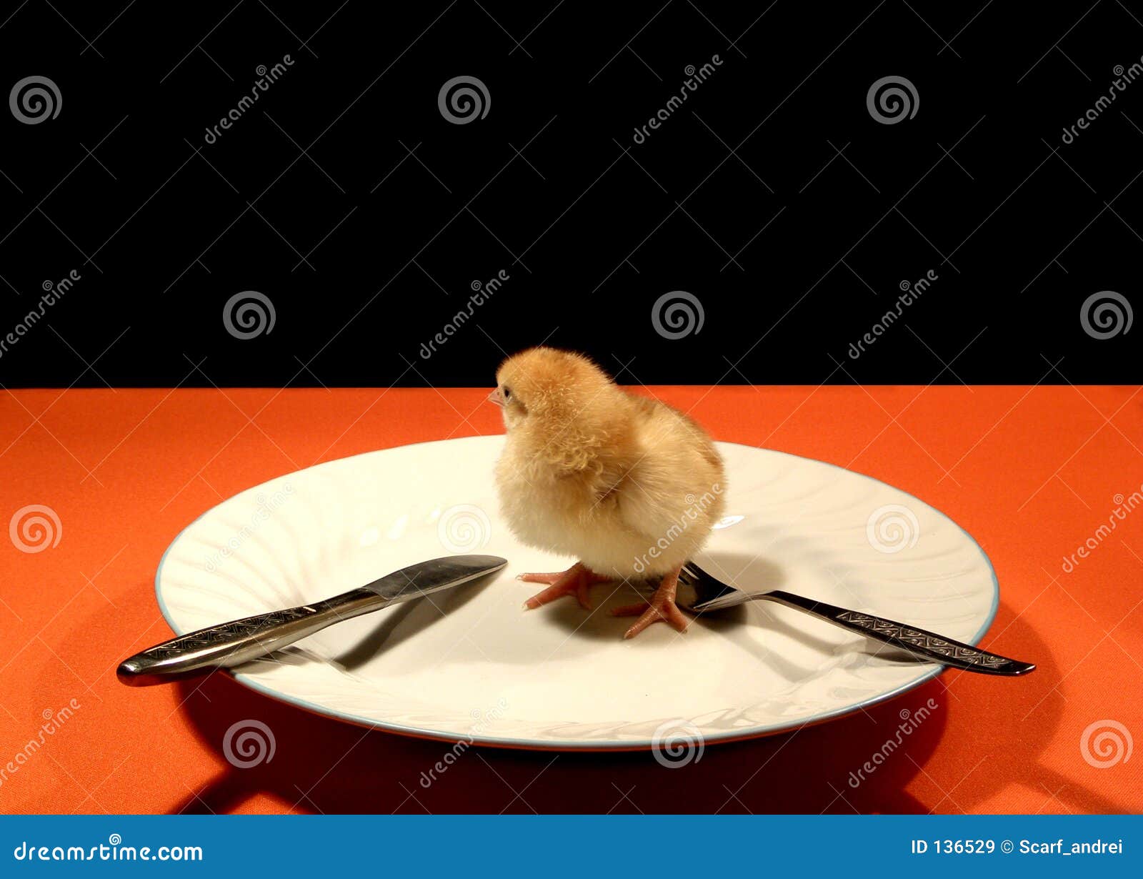 Is early for this stock image. Image of fluffy, plate, pretty - 136529