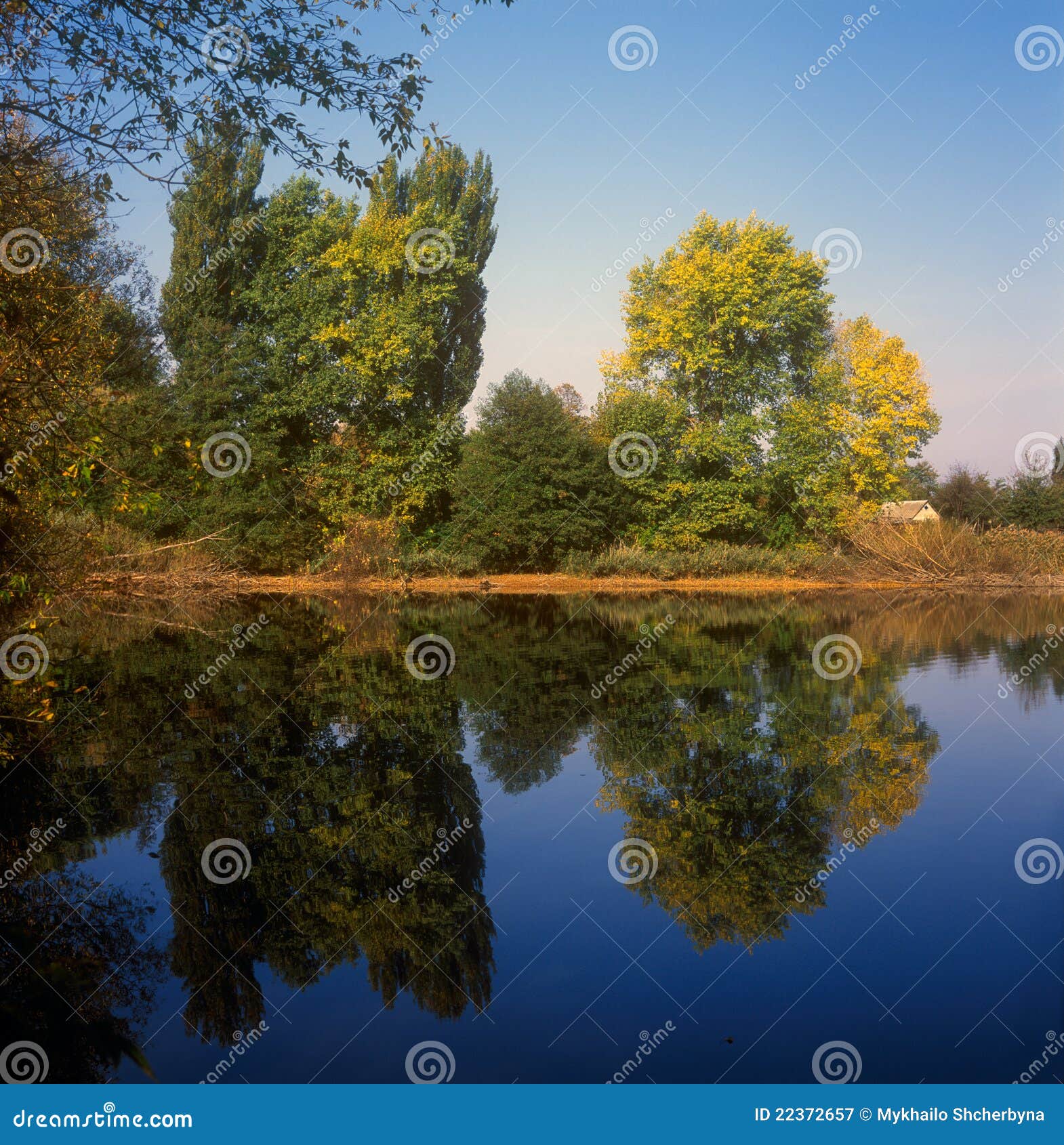 Early autumn. stock image. Image of coastline, leaf, autumn - 22372657