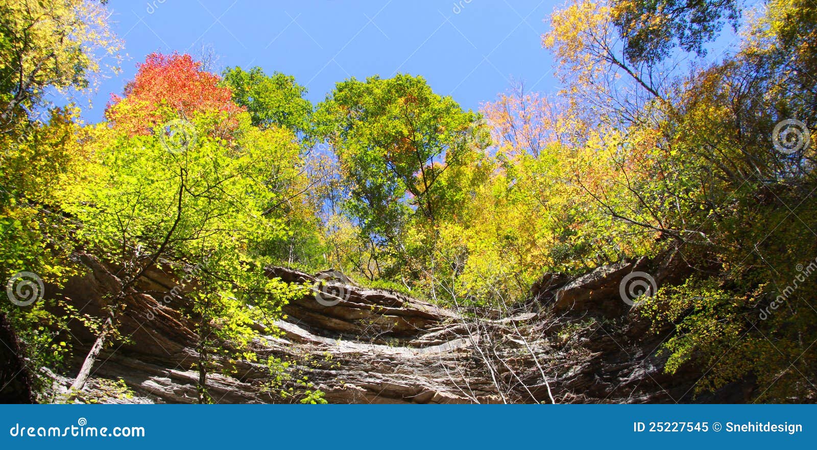 Early autumn stock image. Image of season, garden, natural - 25227545