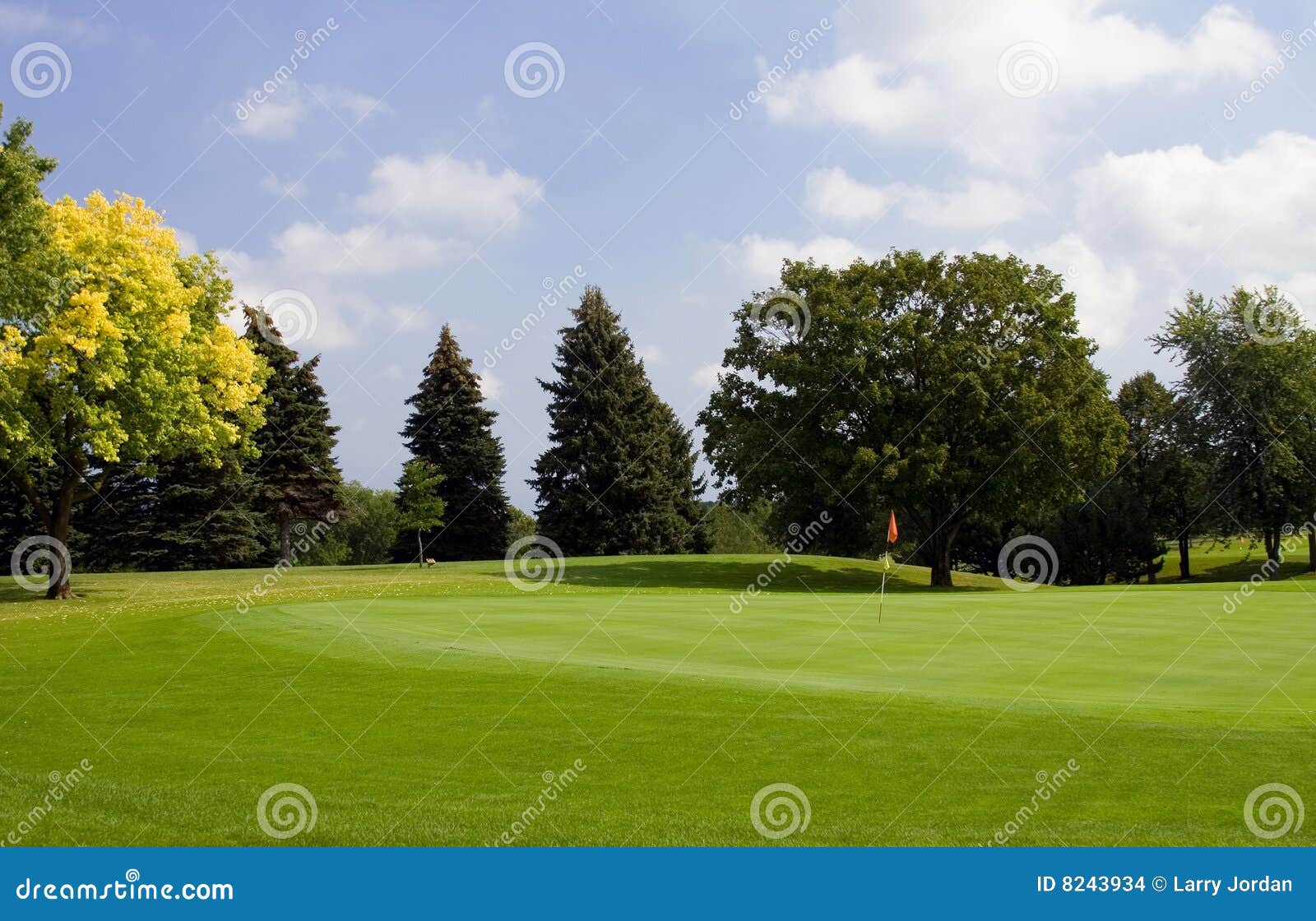 Early Autumn on the Golf Green Stock Photo - Image of precision, tree ...