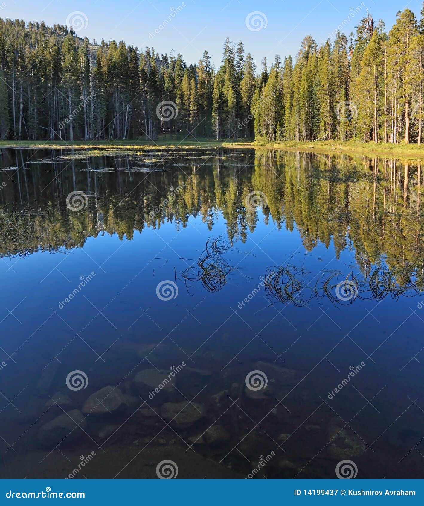 Early autumn morning. stock image. Image of landscape - 14199437