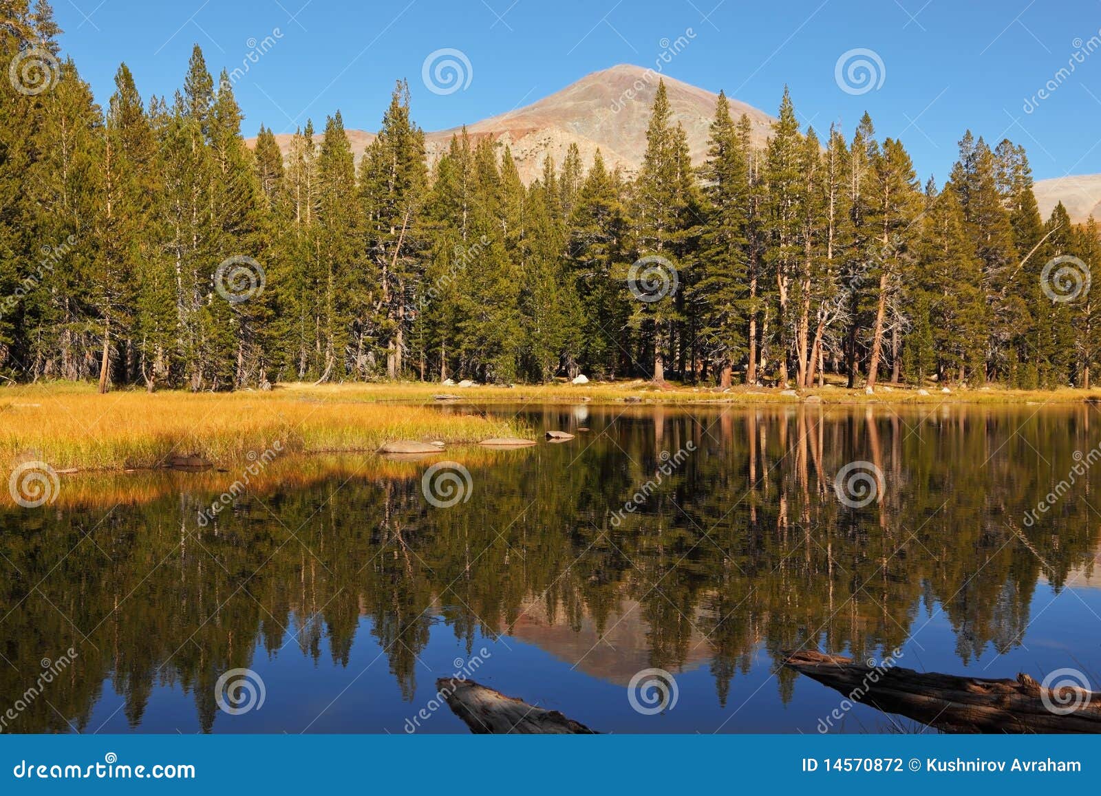 Early autumn morning stock photo. Image of beautiful - 14570872