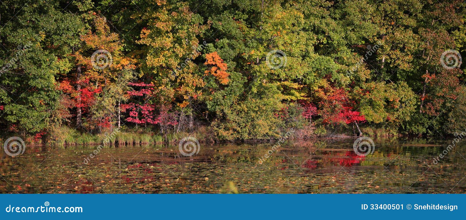 Early autumn panorama stock image. Image of nature, michigan - 33400501