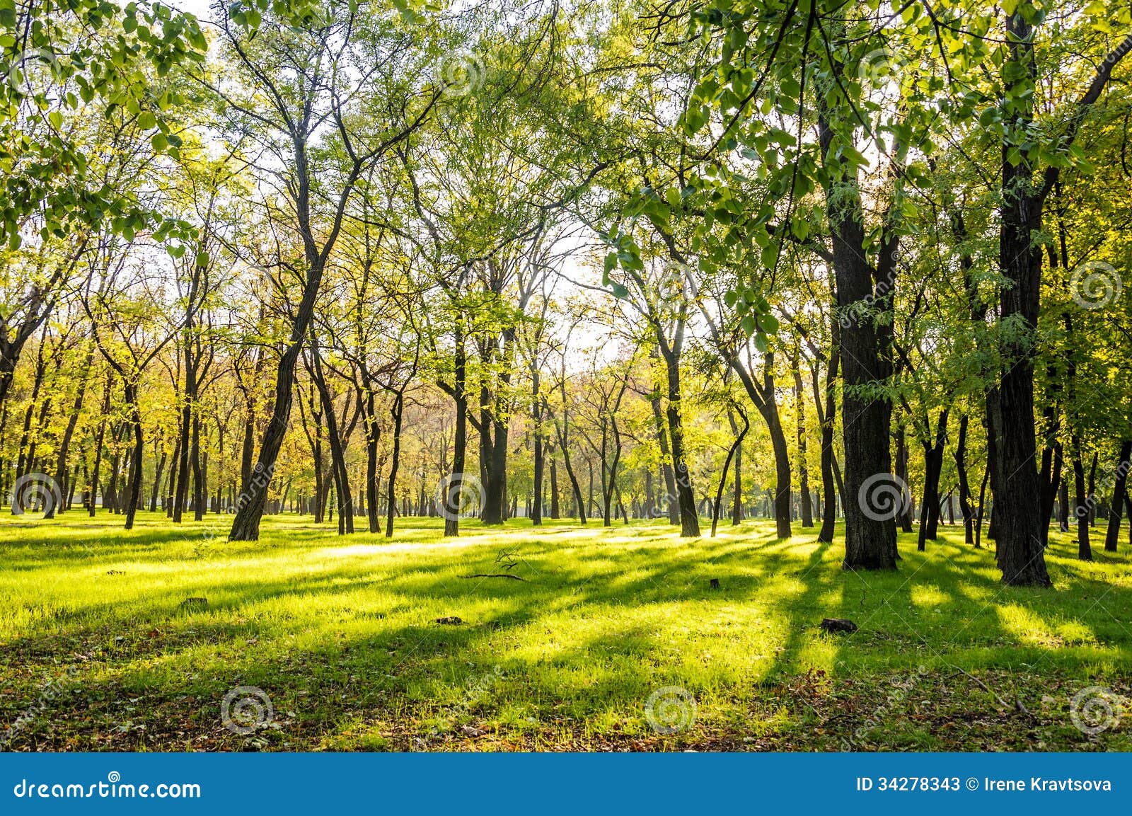 Early autumn in the park stock image. Image of landscape - 34278343