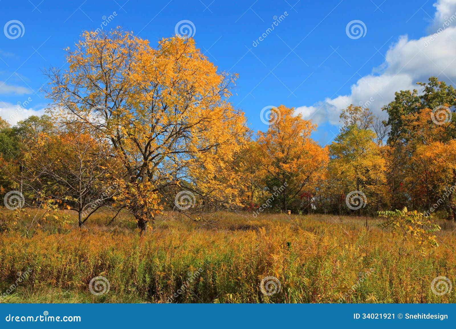 Early autumn stock image. Image of serene, park, blue - 34021921