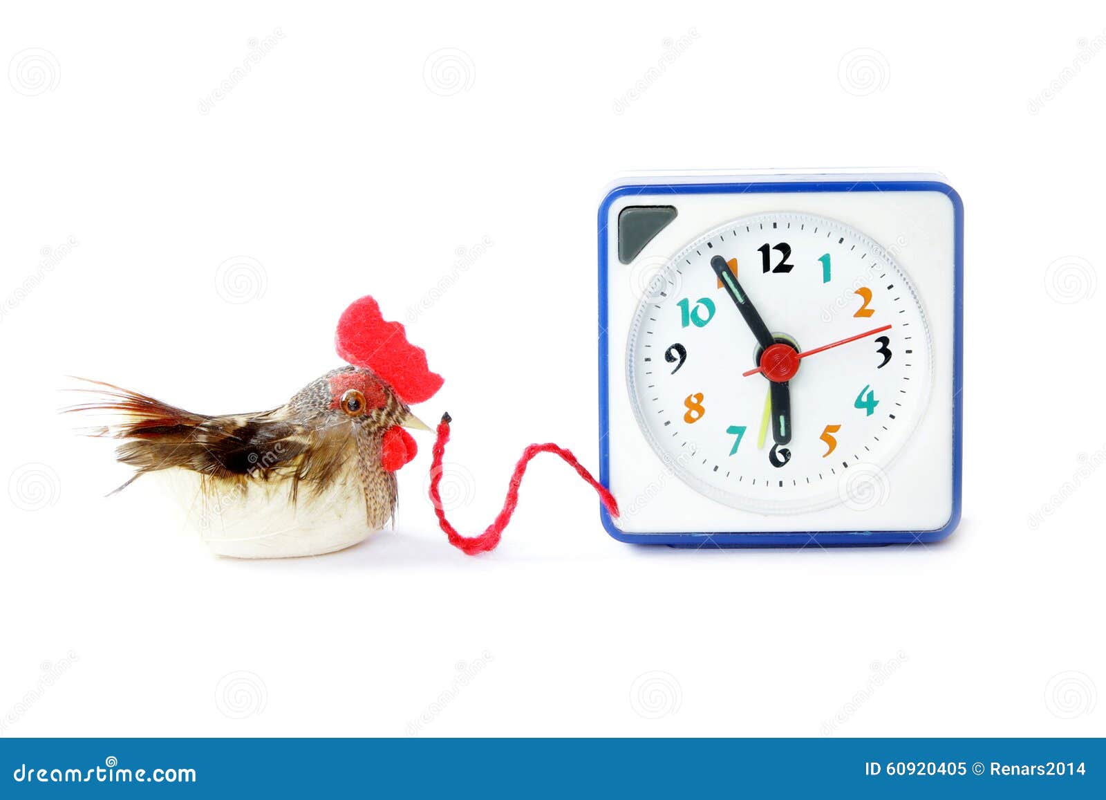 Early Bird Catches Gets the Worm Proverb Stock Image - Image of ...