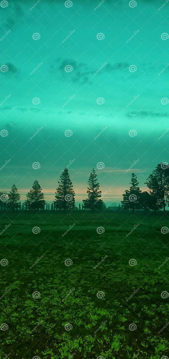 Early bird work stock photo. Image of glass, water, screenshot - 251004432