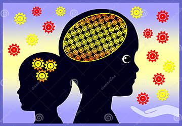 Early Brain Development stock illustration. Illustration of education ...