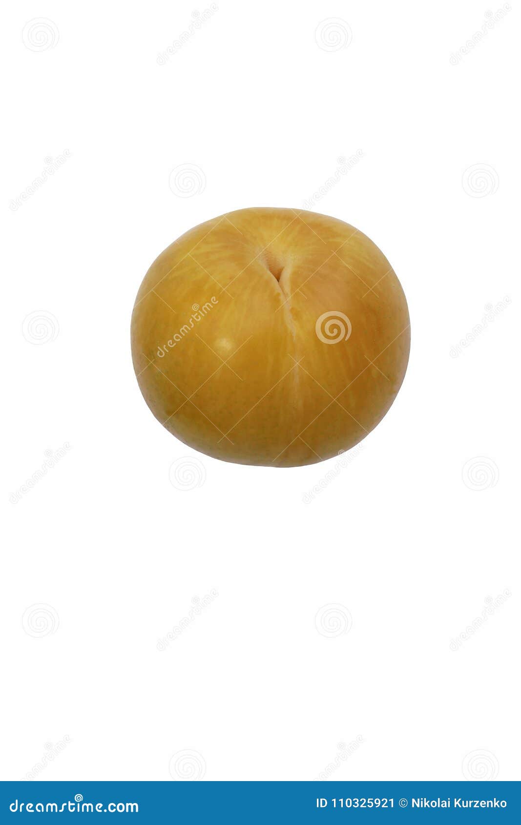 Early Dapple Pluot. Image of Fruit Isolated on White Background Stock ...