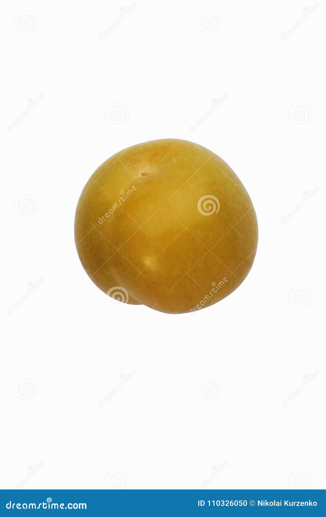 Early Dapple Pluot. Image of Fruit Isolated on White Background Stock ...