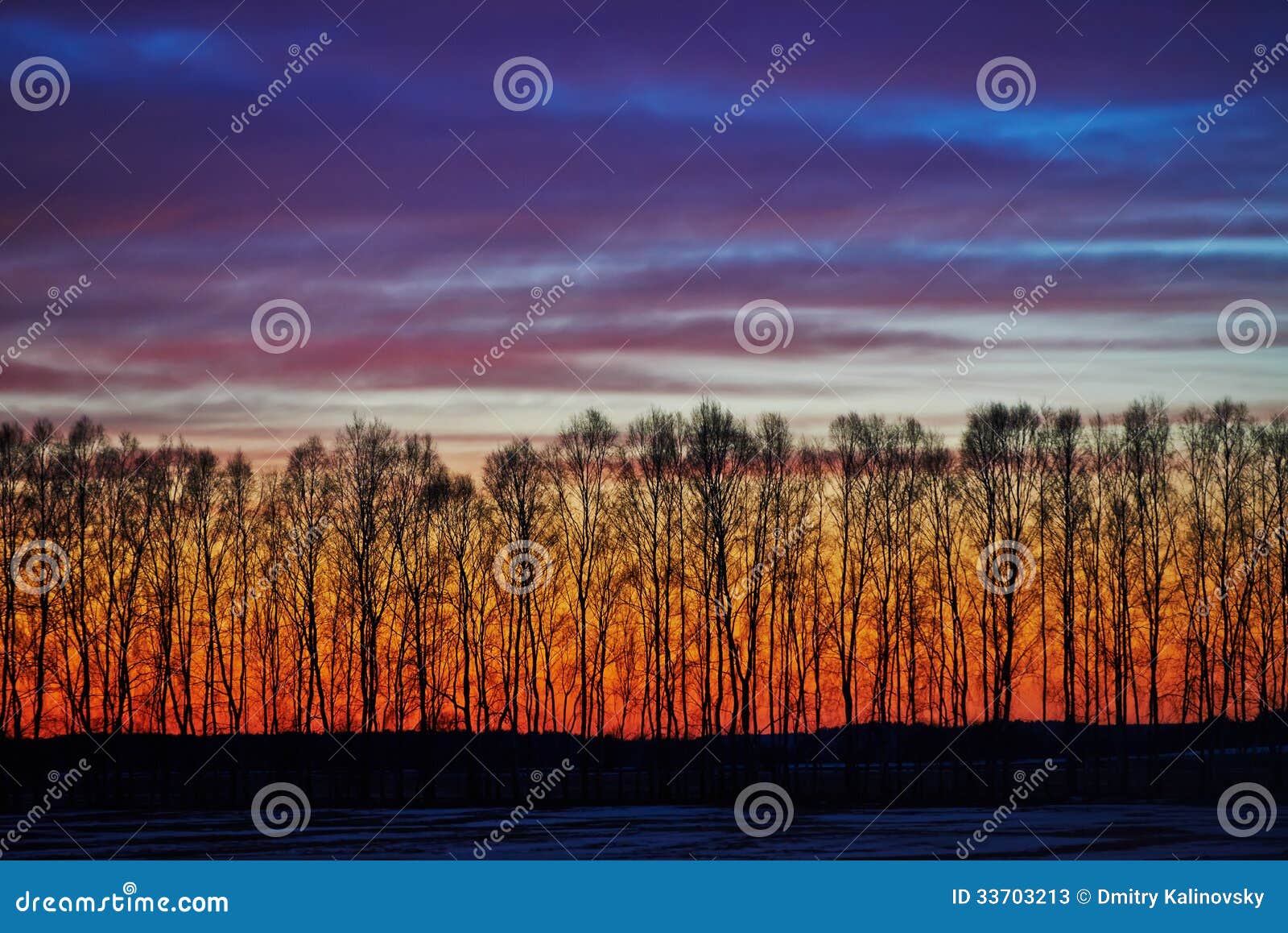 Early Dusk Sunset in Forest. Landscape Stock Image - Image of glow ...