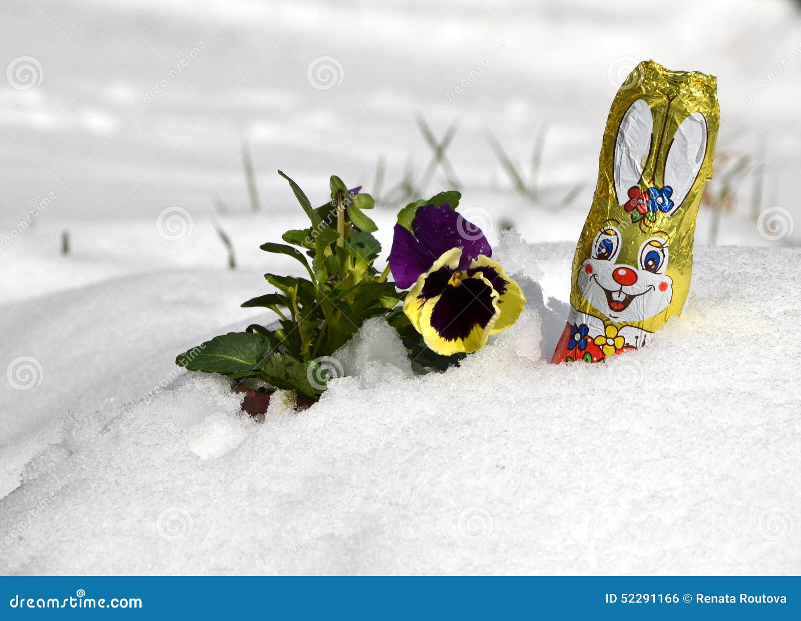 Early Easter May Be Still in Snow Stock Photo - Image of food, happy ...