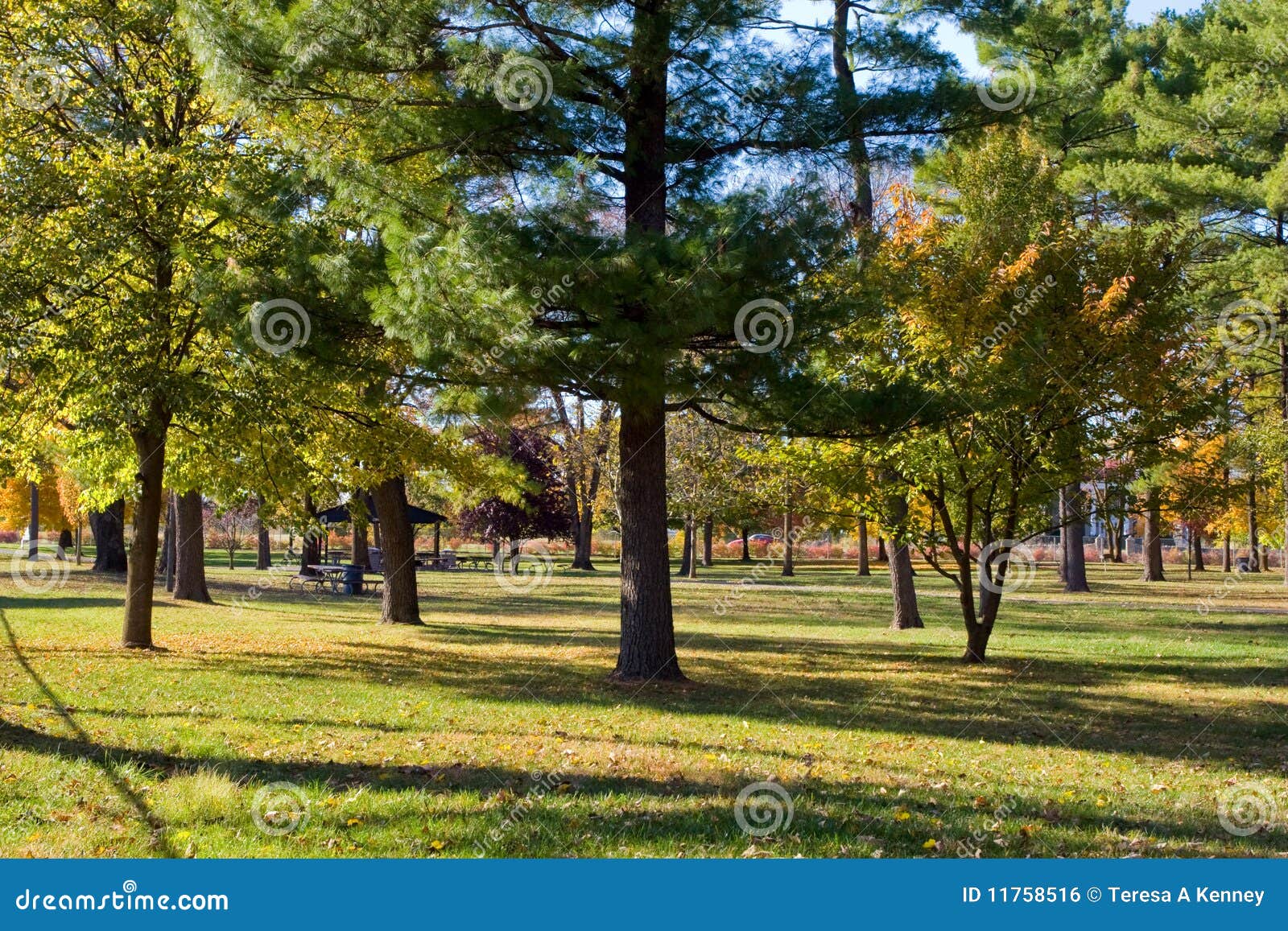 Early Fall Day at Park stock photo. Image of autumn, change - 11758516