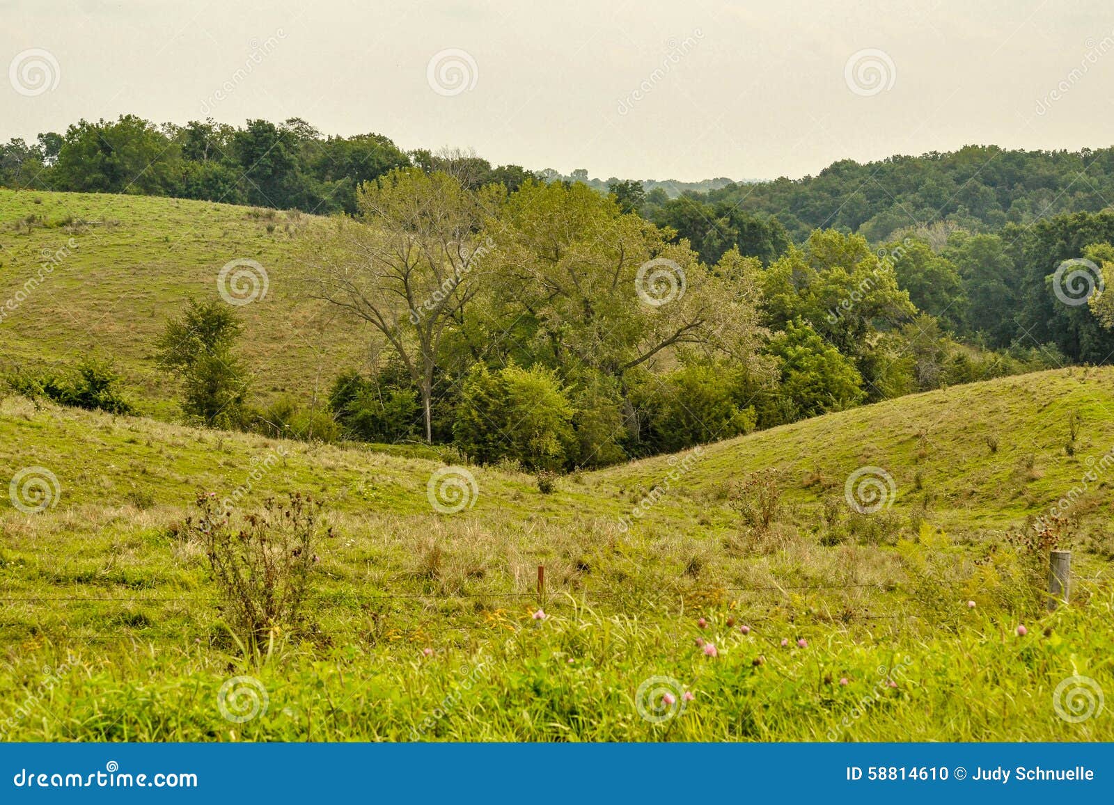 Breathtaking View of Early Fall in Iowa Stock Photo - Image of meadows ...