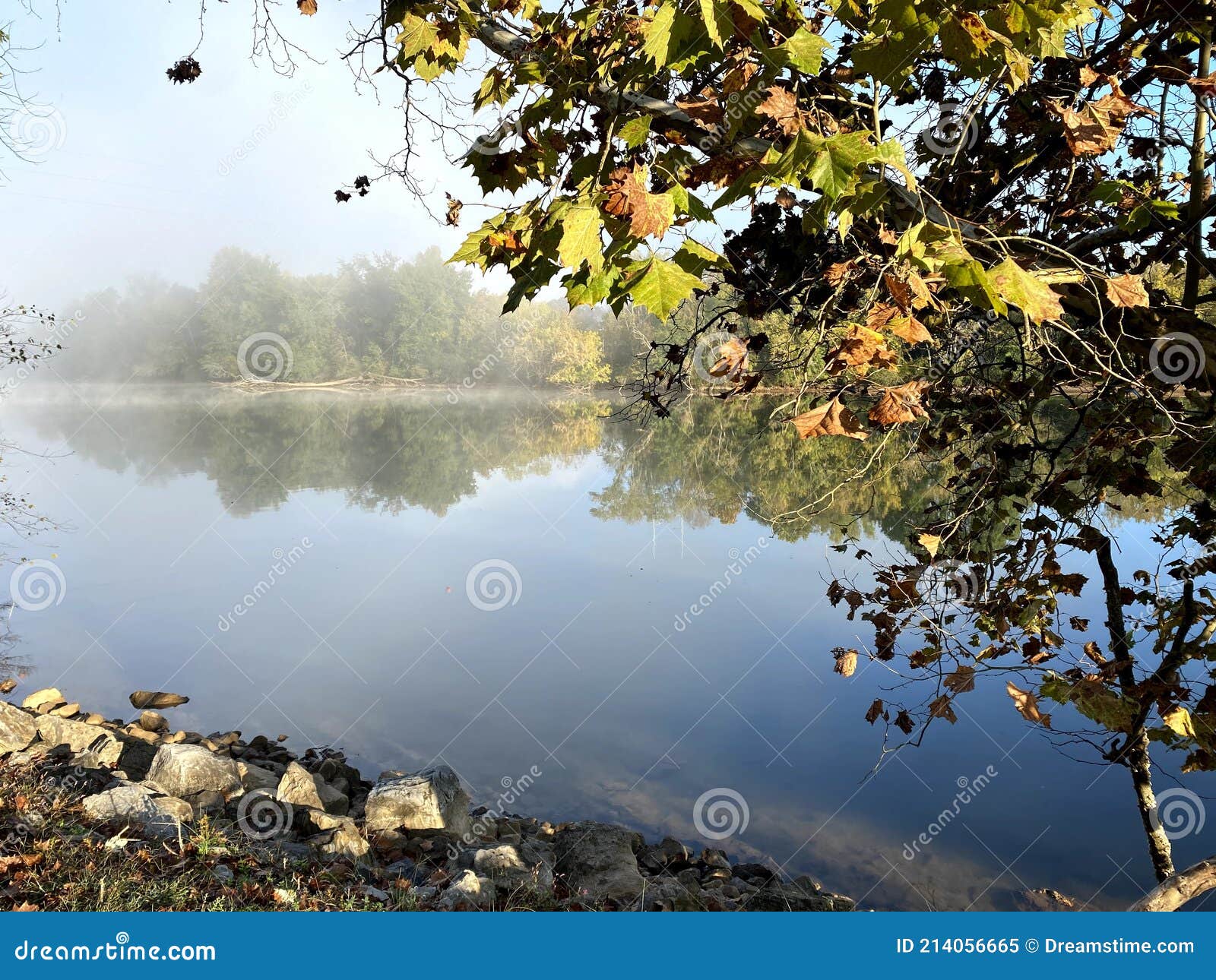Early fall morning stock image. Image of plant, river - 214056665