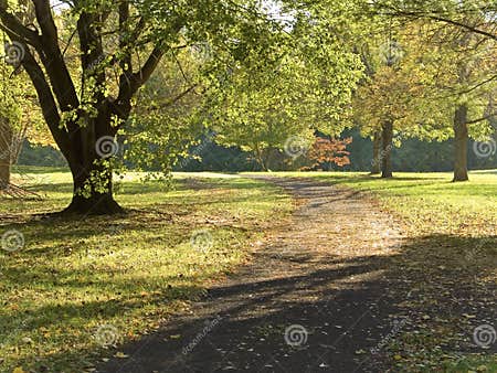 Early Fall Path stock image. Image of seasonal, green, woods - 386183