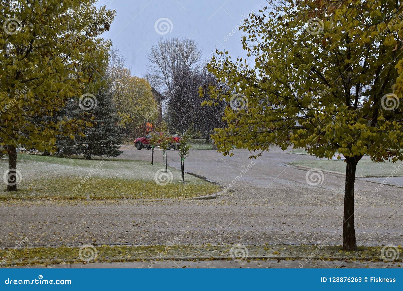 Early Fall snowfall stock image. Image of season, frees - 128876263