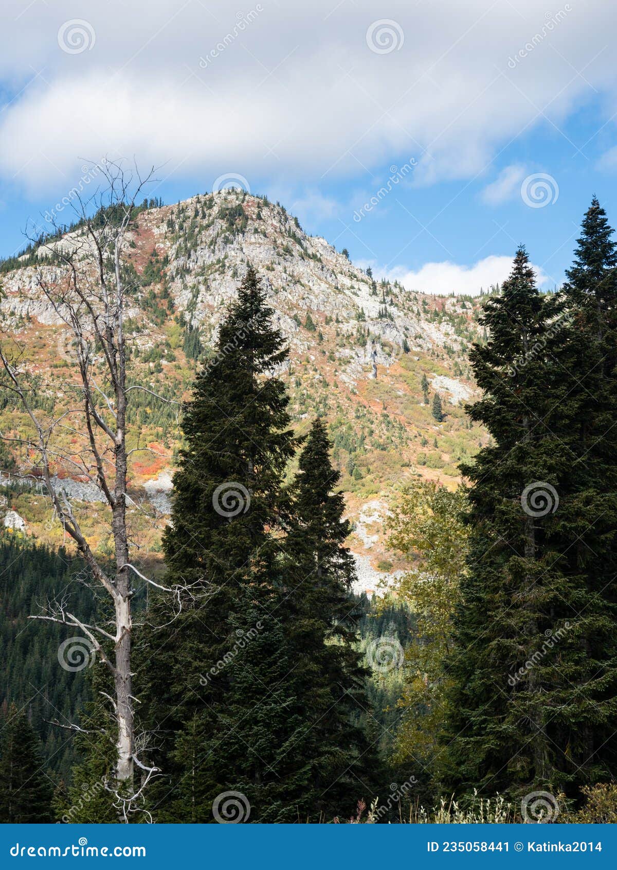 Early Fall at Stevens Pass Along US Highway 2 in Cascade Mountains ...