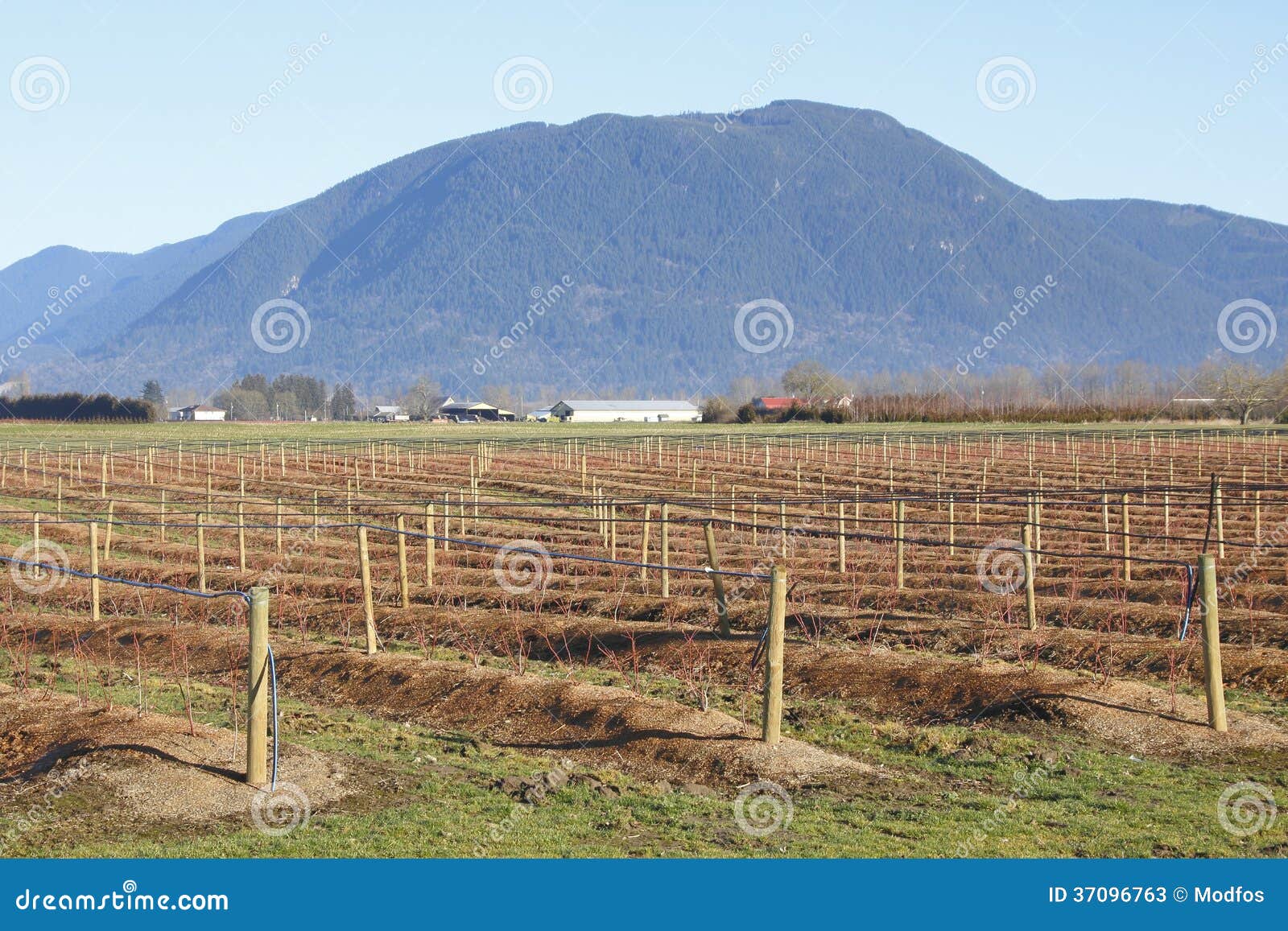Farm in Valley stock image. Image of building, equipment - 37096763