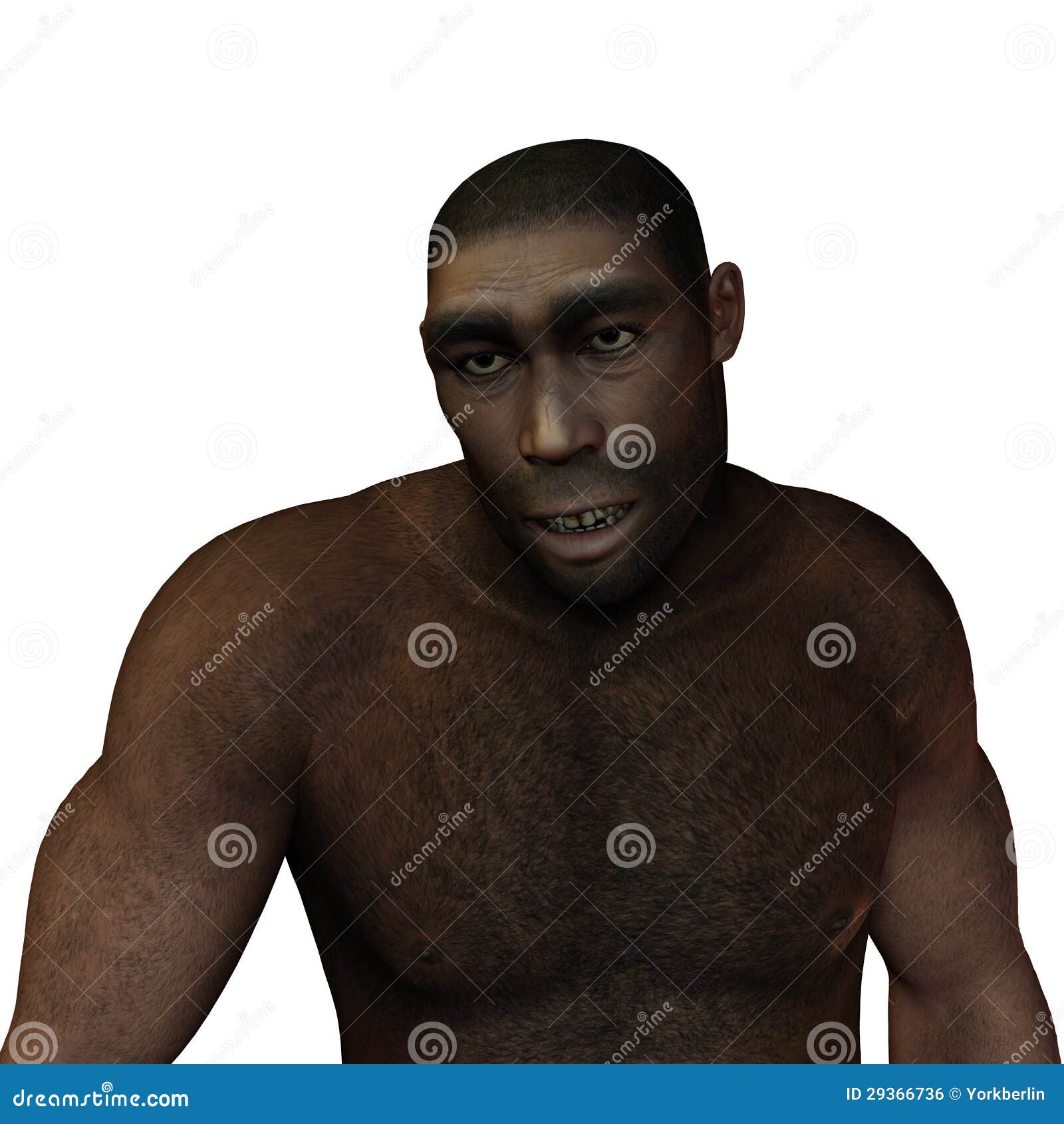 Early humans erectus stock illustration. Illustration of erectus - 29366736