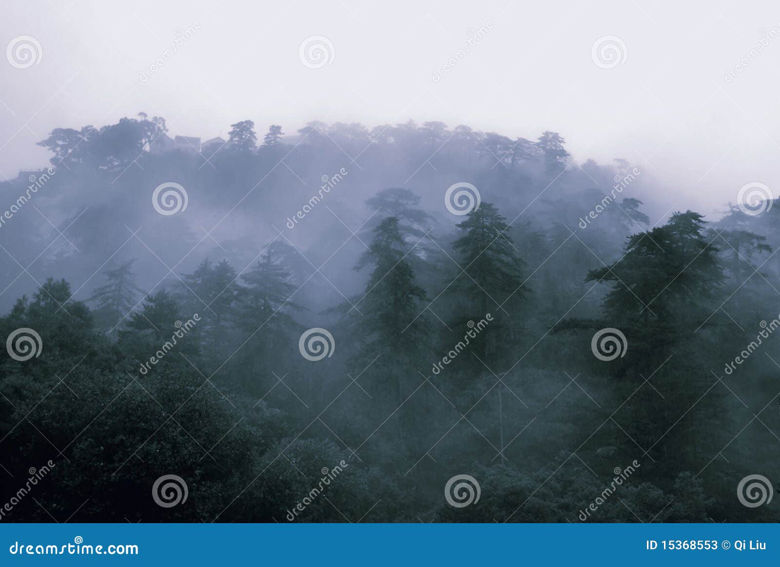 Early mist stock image. Image of peacefull, china, trees - 15368553