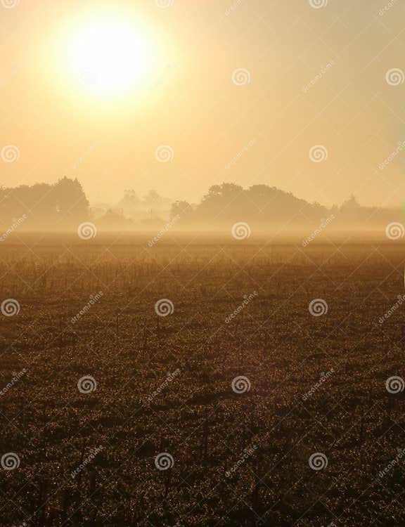 Early morning stock photo. Image of nature, weather, seasonal - 1238372