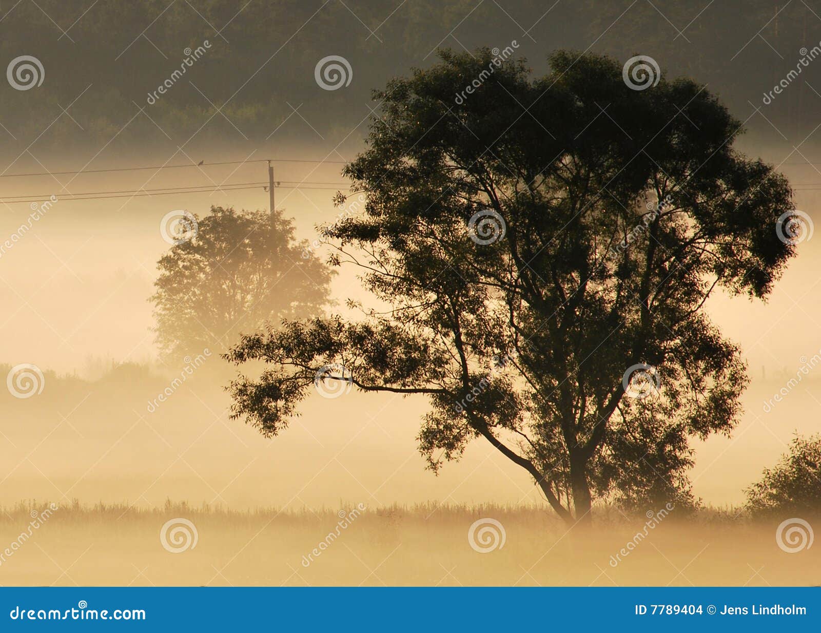 Early morning stock photo. Image of peaceful, cloudy, sunrise - 7789404