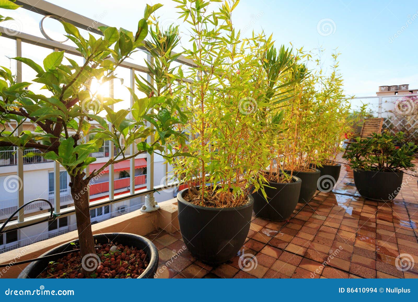 Early Morning Balcony stock photo. Image of balcony, street - 86410994