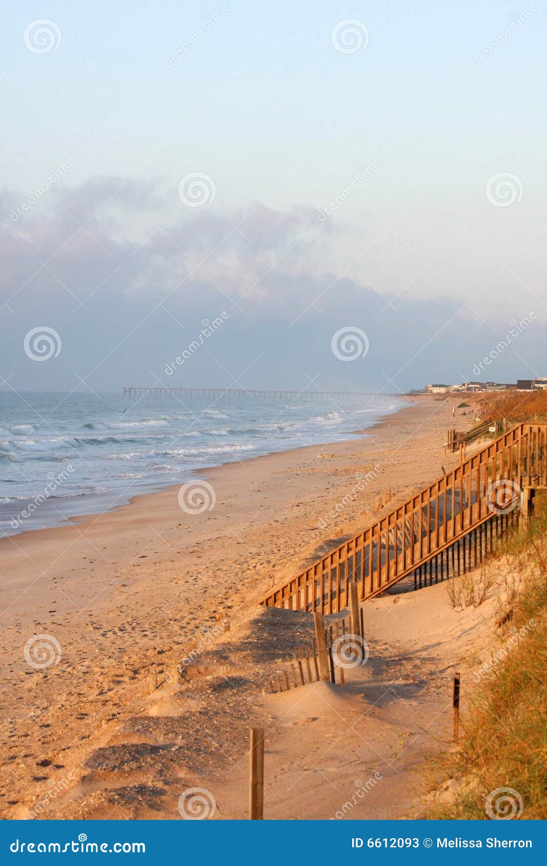 Early morning beach stock image. Image of carolina, plants - 6612093