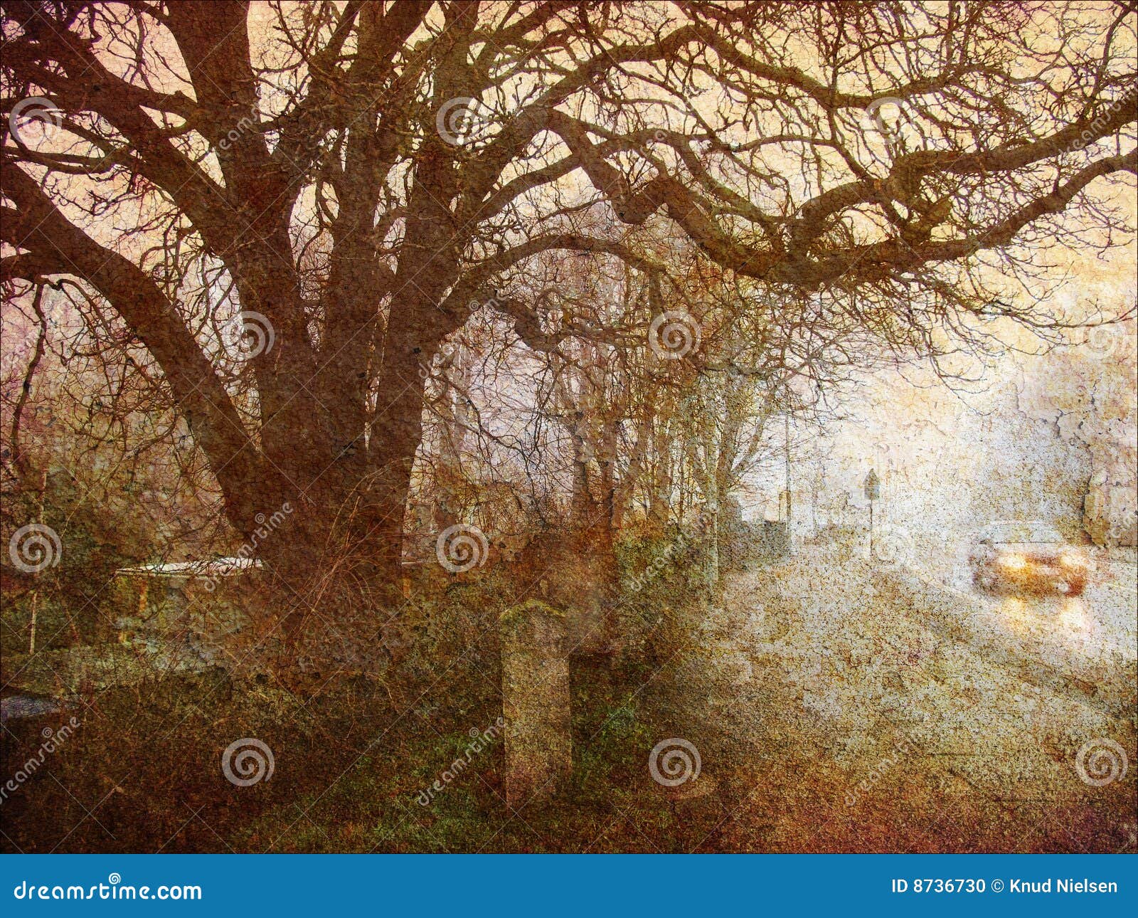 Early morning car stock photo. Image of cracked, dream - 8736730