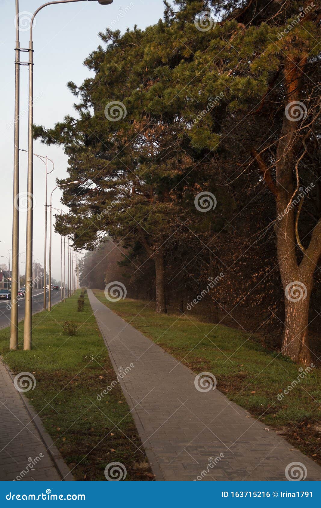 Early Morning on a City Street Stock Photo - Image of empty, path ...